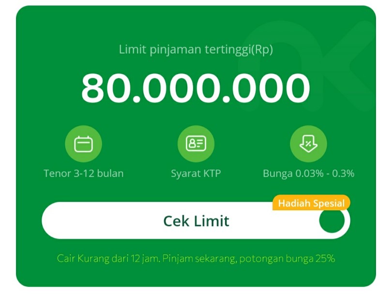 Daftar Pinjol 2025 Terdaftar Resmi di OJK per Januari, Totalnya 97 - Patrolmedia.co.id