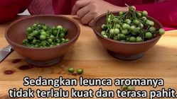 Pokak vs. Leunca: Jangan Sampai Salah! - Patrolmedia.co.id